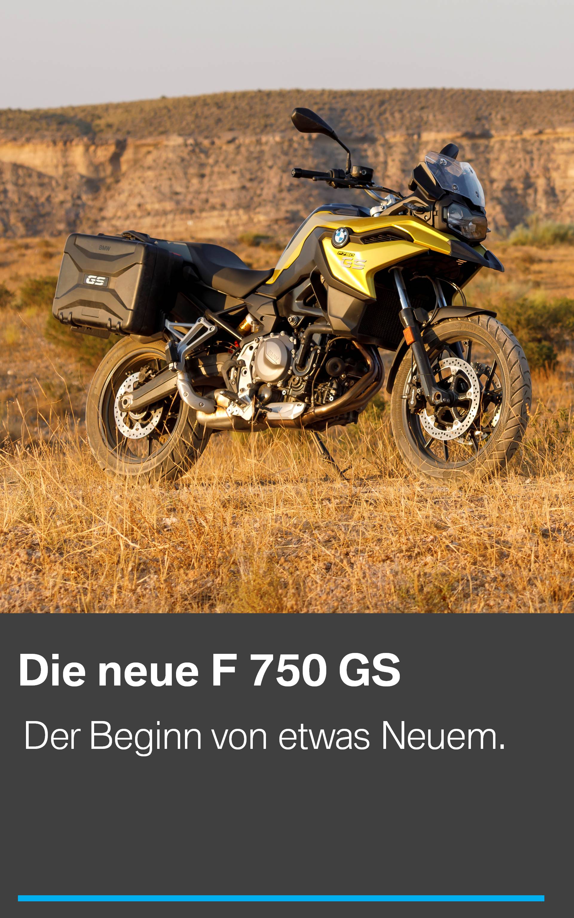 Home - BMW-Brauneisen